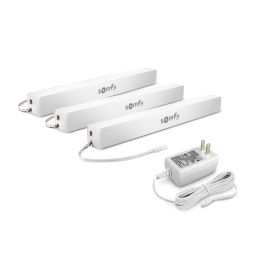 Somfy 12V Lithium-Ion Rechargeable Battery Pack 3-Pack with Charger for ...