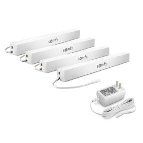 Somfy 12V Lithium-Ion Rechargeable Battery Pack 4-Pack with Charger for ...